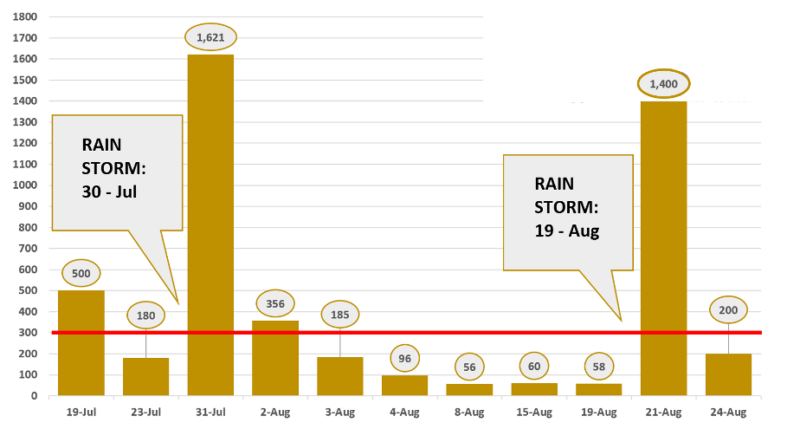 Excessive Coliform Bacteria - CLEAN-FLO