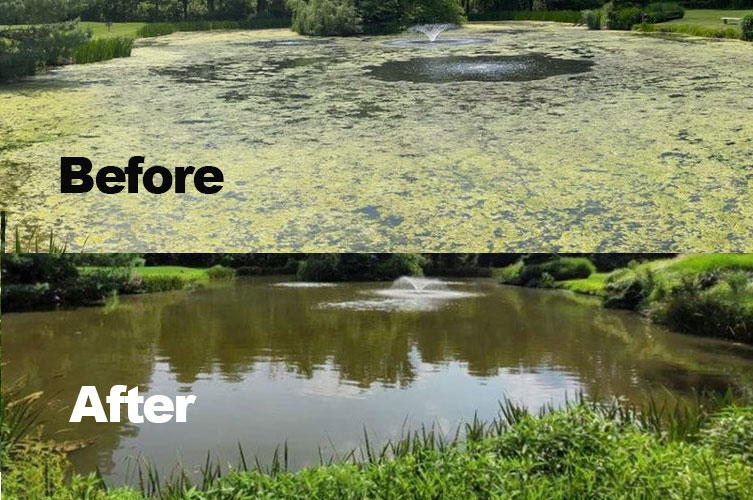 DIY Pond Management - CLEAN-FLO
