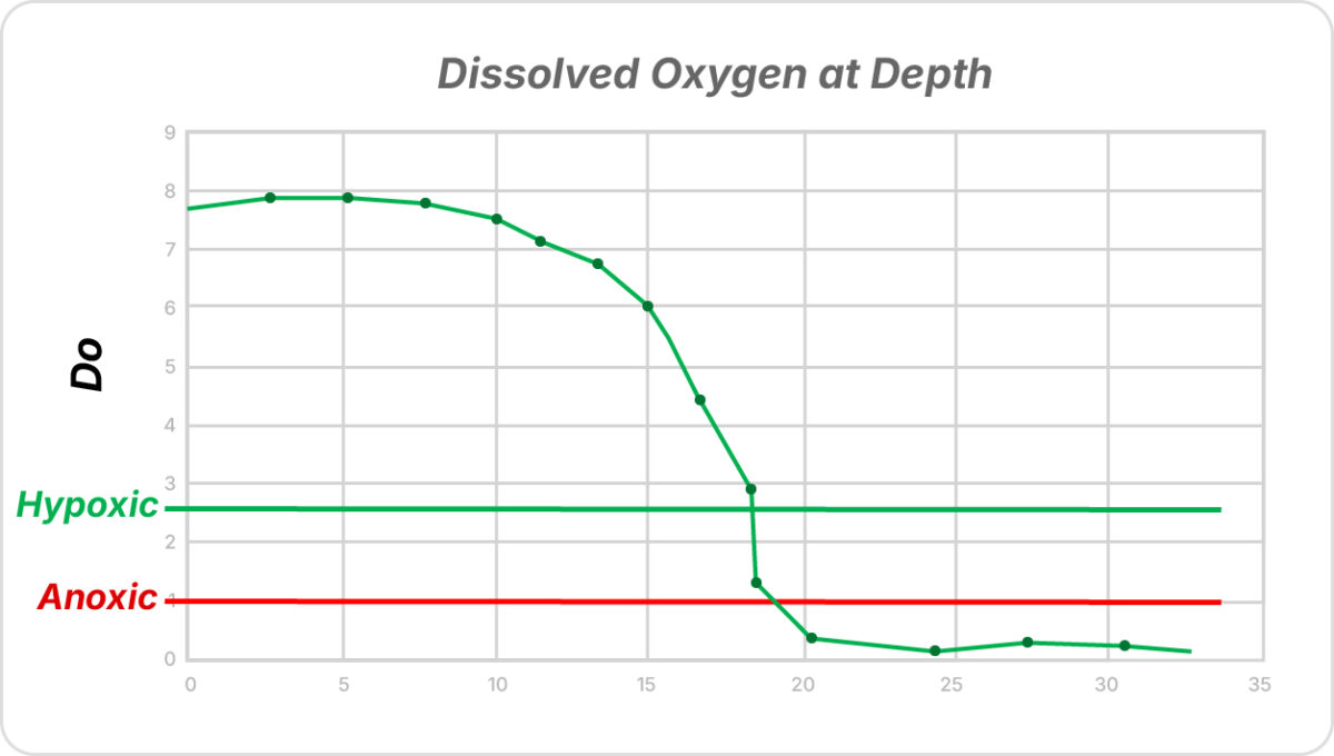 What is Hypoxia? - CLEAN-FLO