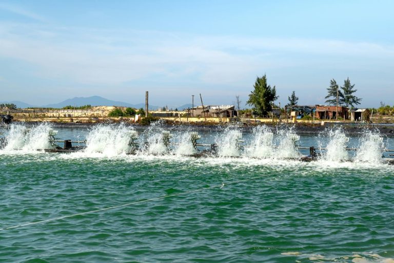 How Lake Aeration Helps Restore Texas Lakes and Ponds - Clean-flo ...